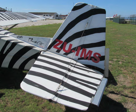 The Rainbow Skyreach BushCat – SA Flyer